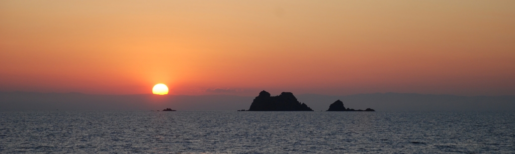 Marta Coll Monton – The scientific home of Dr. Marta Coll Monton